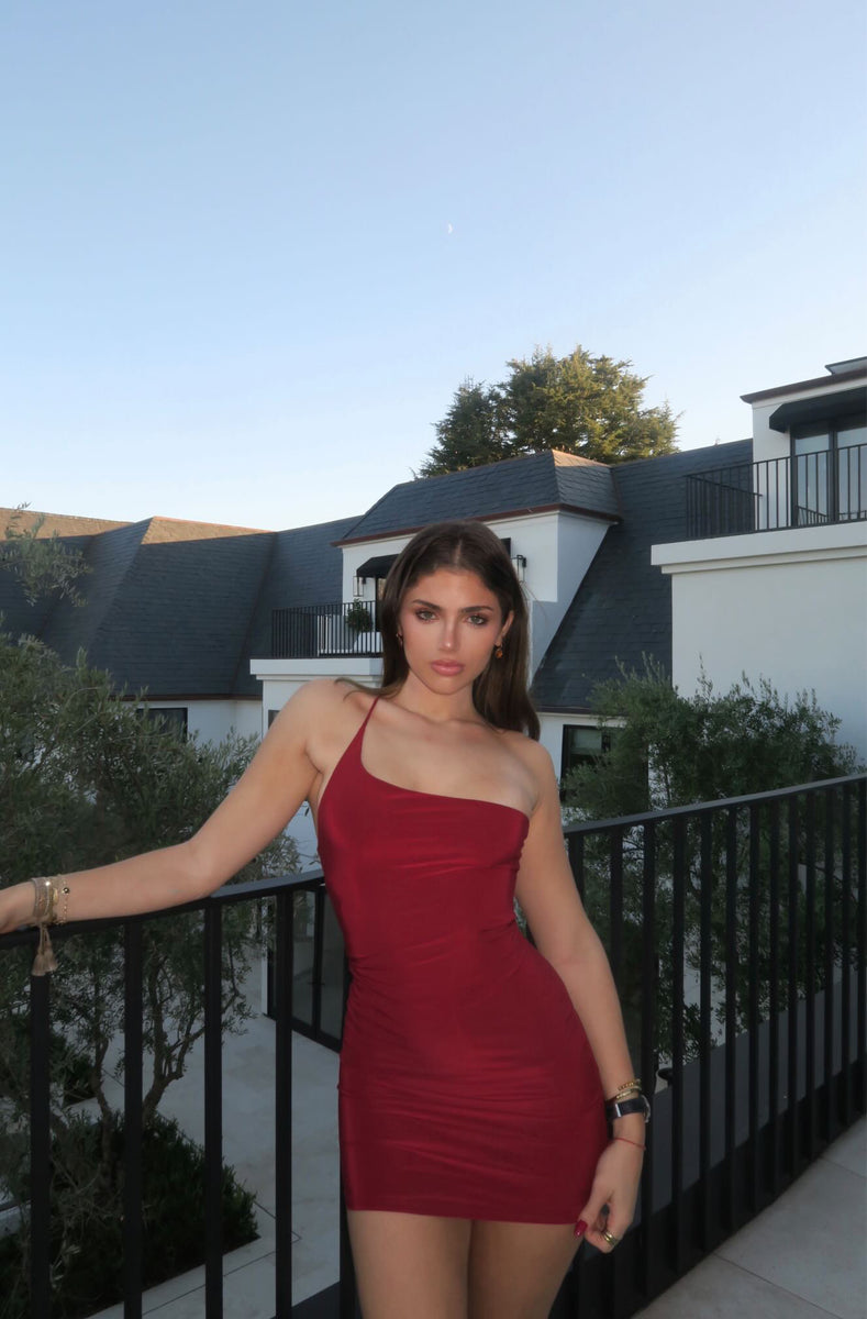 Wine Mini Ivey Dress – HERR by Isabela